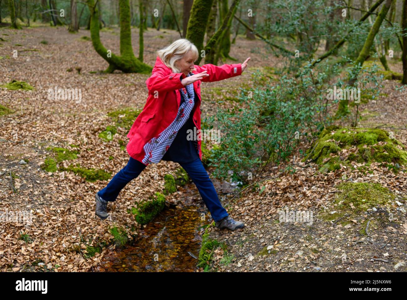 Woman jumping over a stream in woodland Stock Photo - Alamy