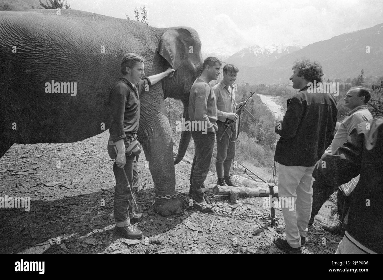 Beilfuss hi-res stock photography and images - Alamy