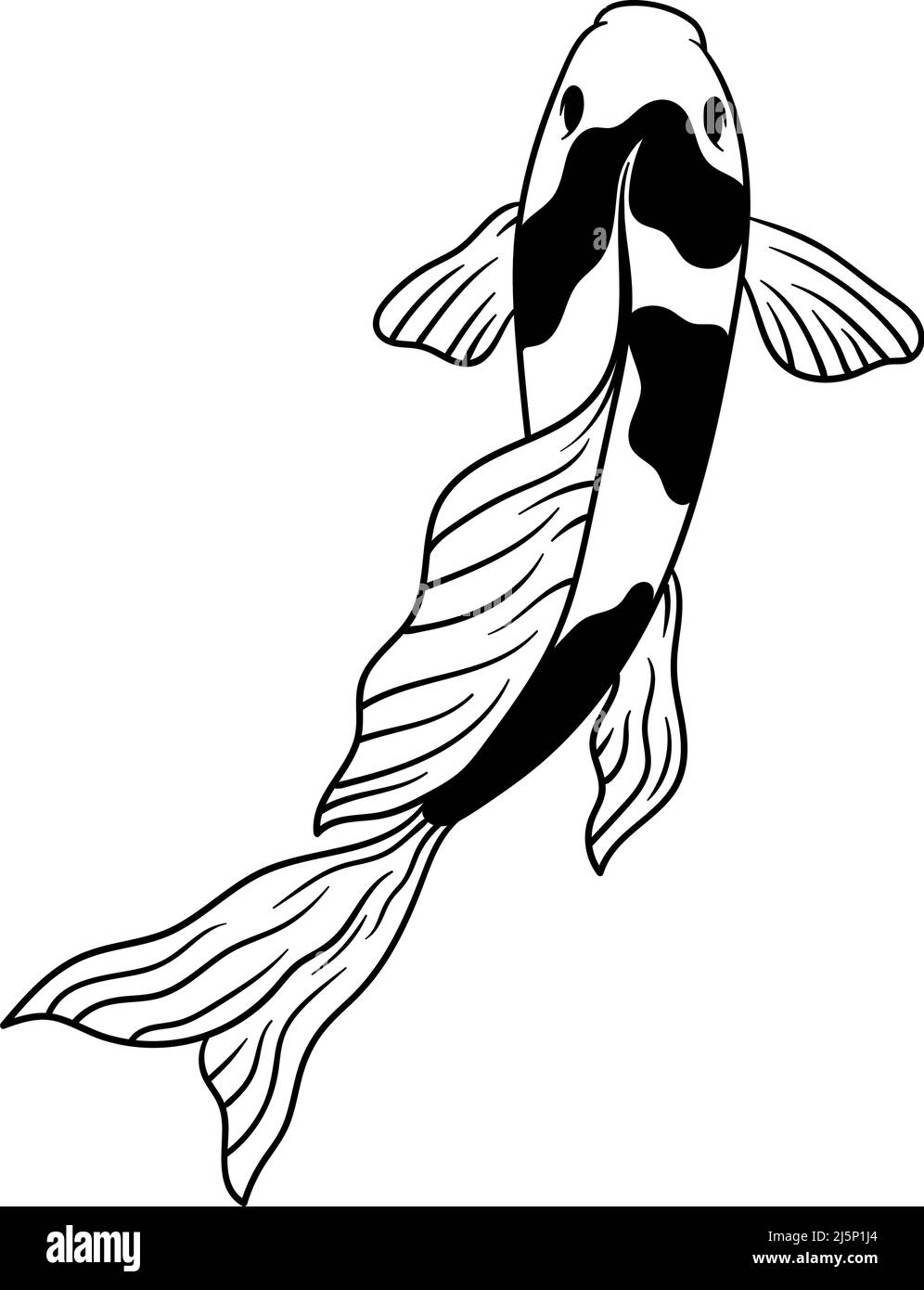 Carp fish outline vector Black and White Stock Photos & Images - Alamy