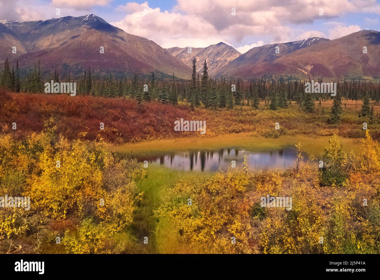 Alaska scenery hi-res stock photography and images - Alamy