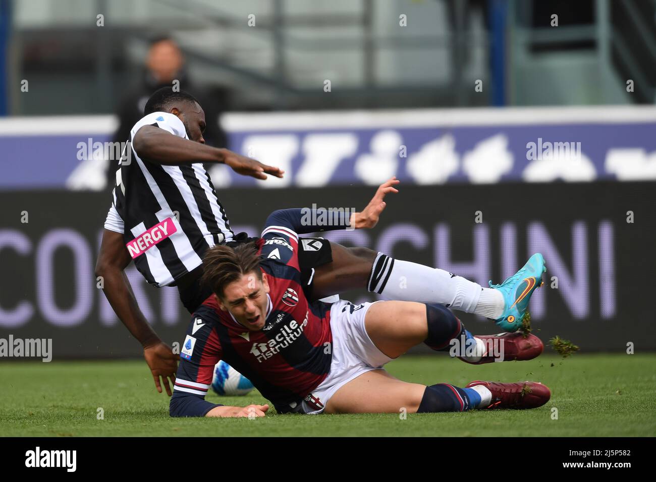 Luis Binks (Bologna) Isaac Success (Udinese) during the Italian Serie A ...