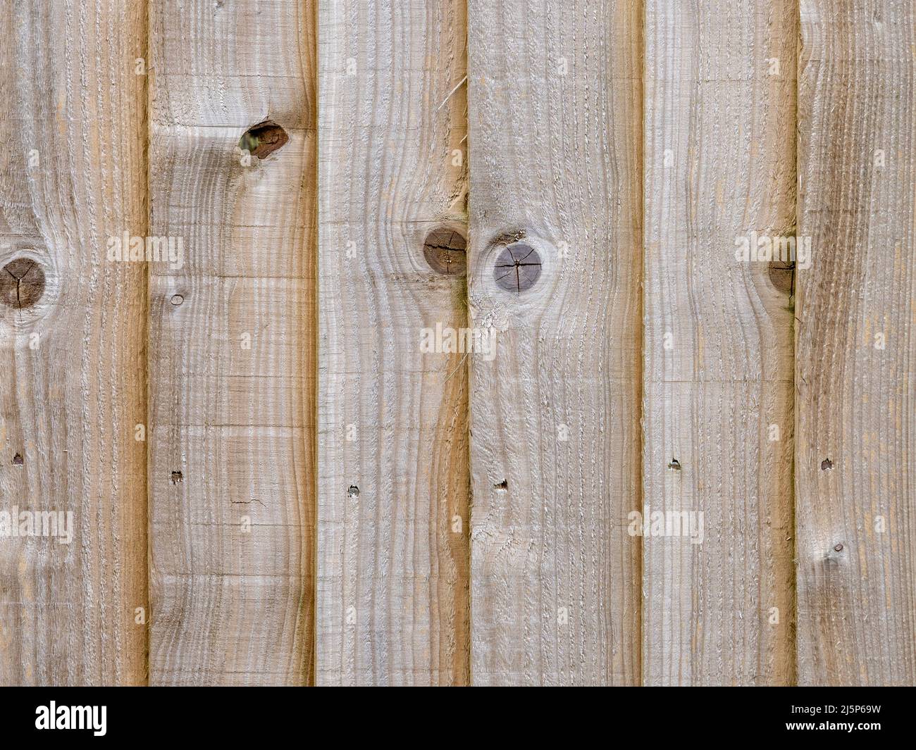 close up of a timber board panel with exposed nail fixings Stock Photo ...