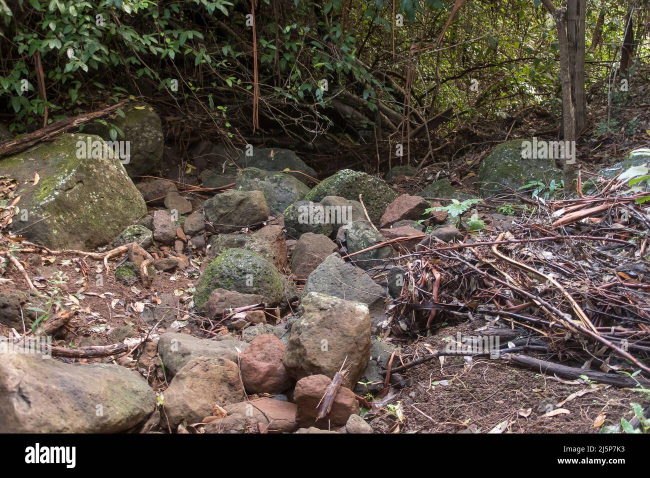 Large unconsolidated basalt rocks washed along a creek bed after heavy ...