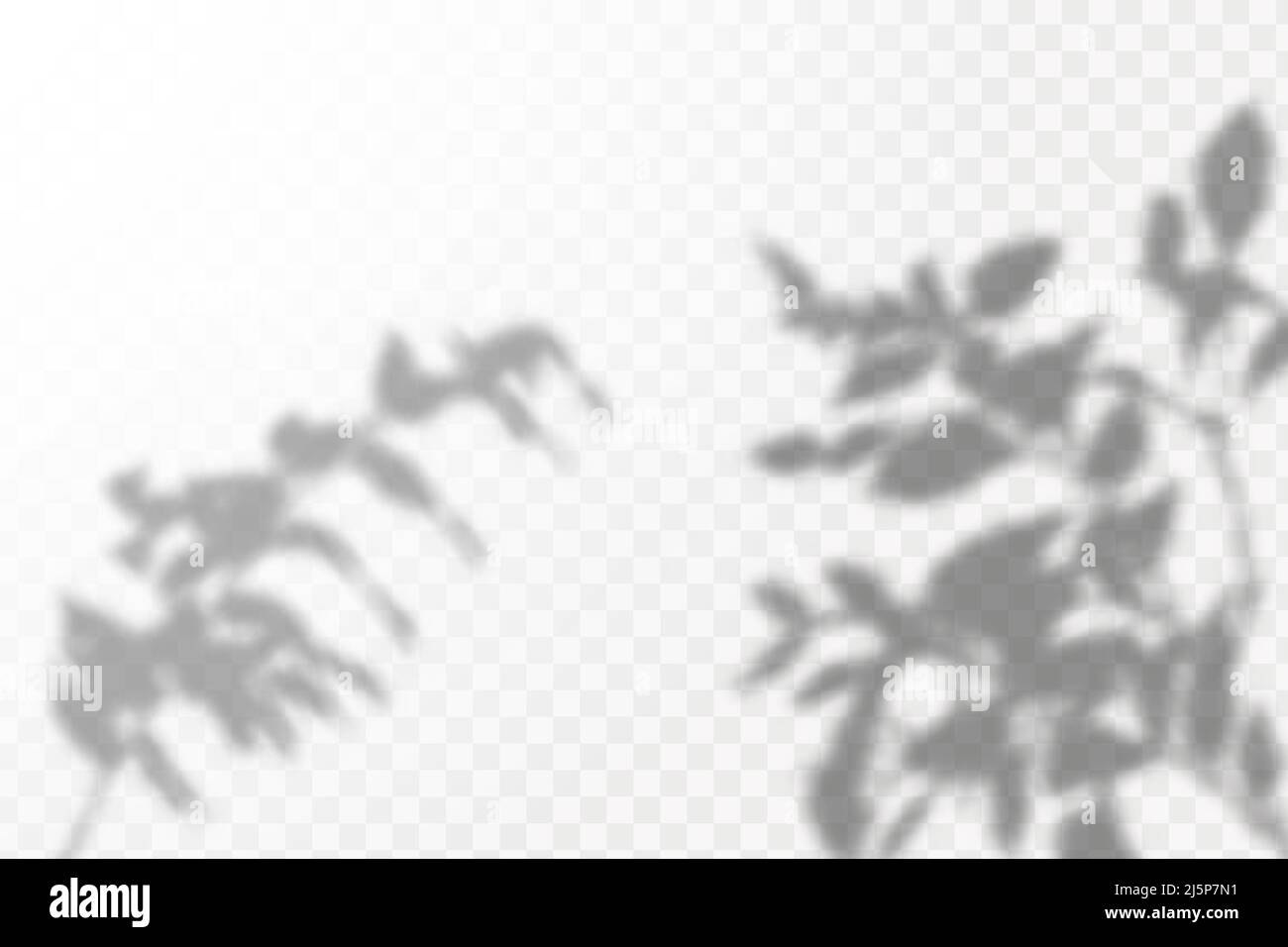 The effect of overlaying shadows. Natural light layout.Realistic shadow ...