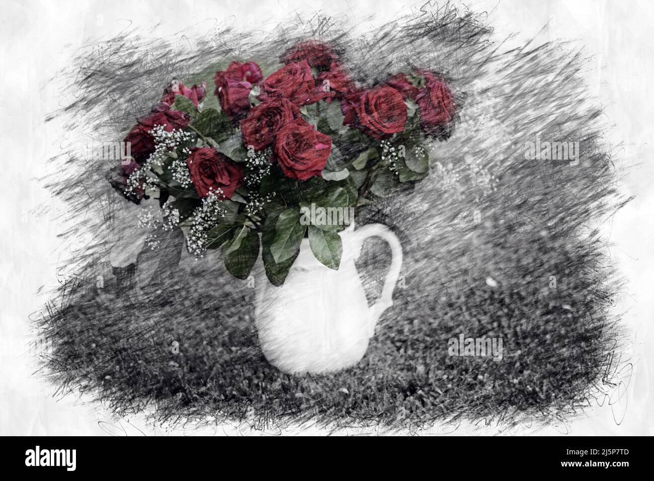 red roses in vase in pencil drawing style Stock Photo - Alamy