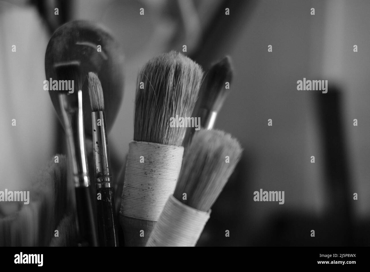 Paintbrush Photography Black And White