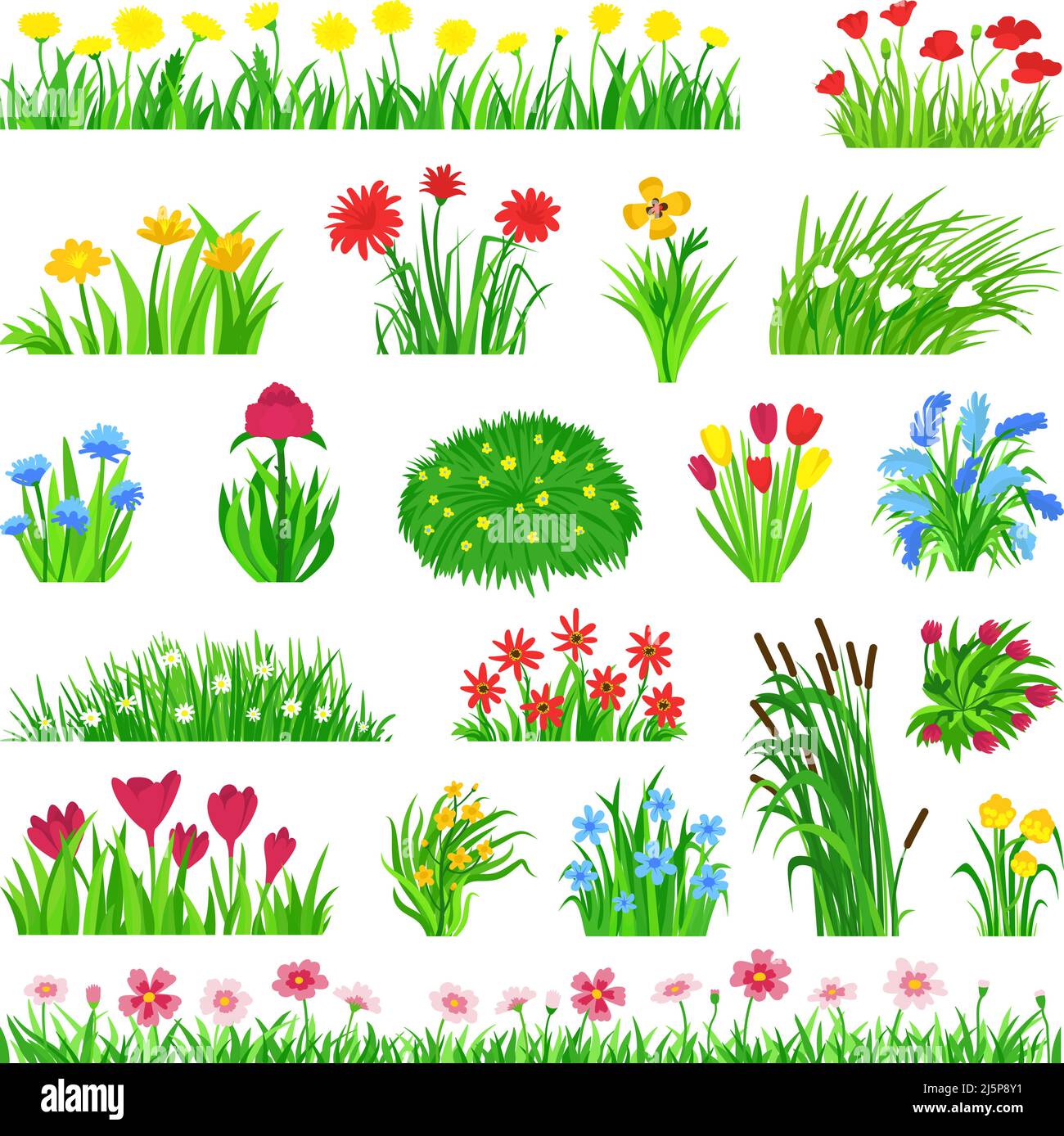 Spring flowers on meadow. Springtime, green grass and wild flower ...