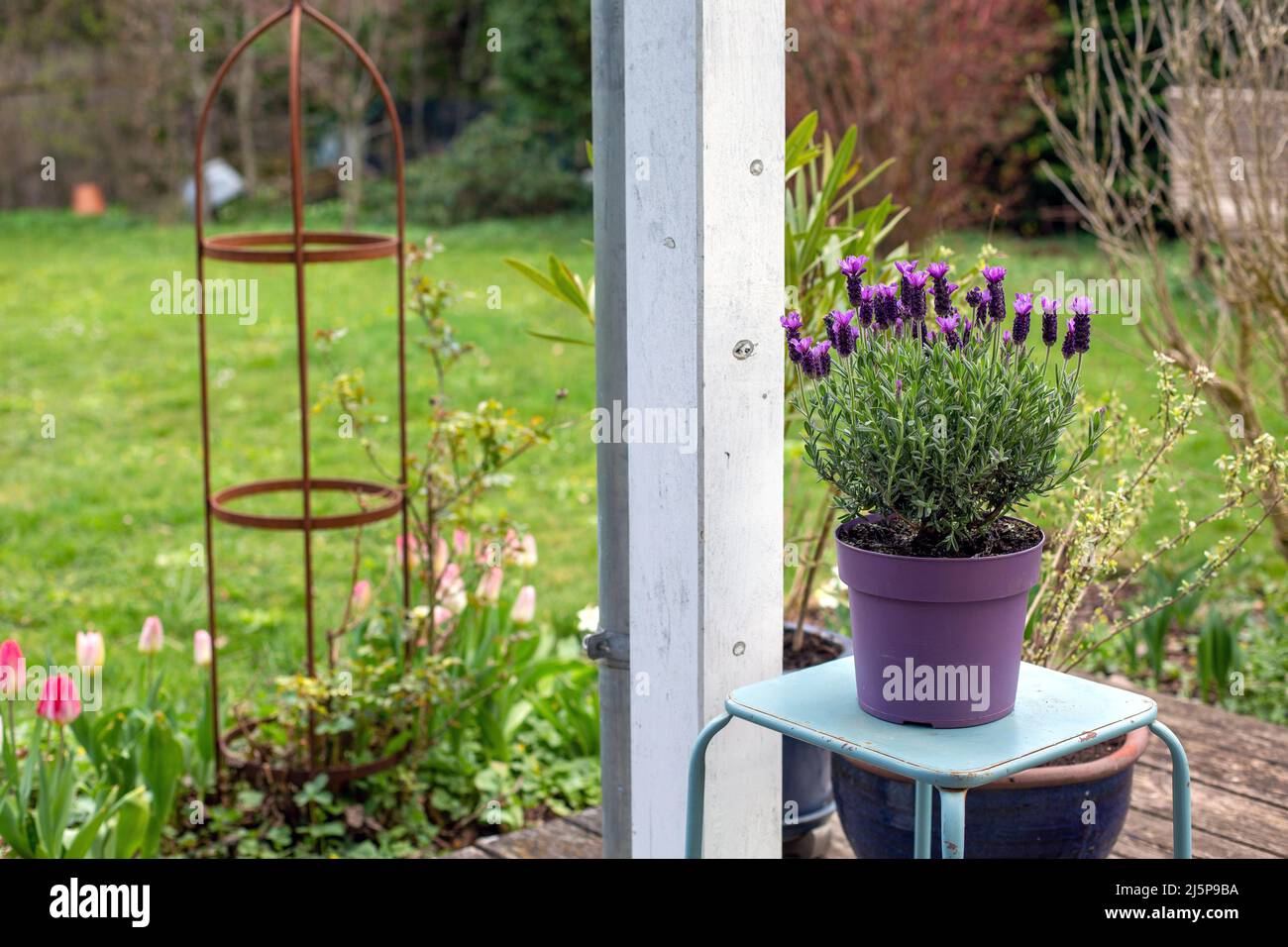 Wooden terrace flowers pots hi-res stock photography and images - Alamy