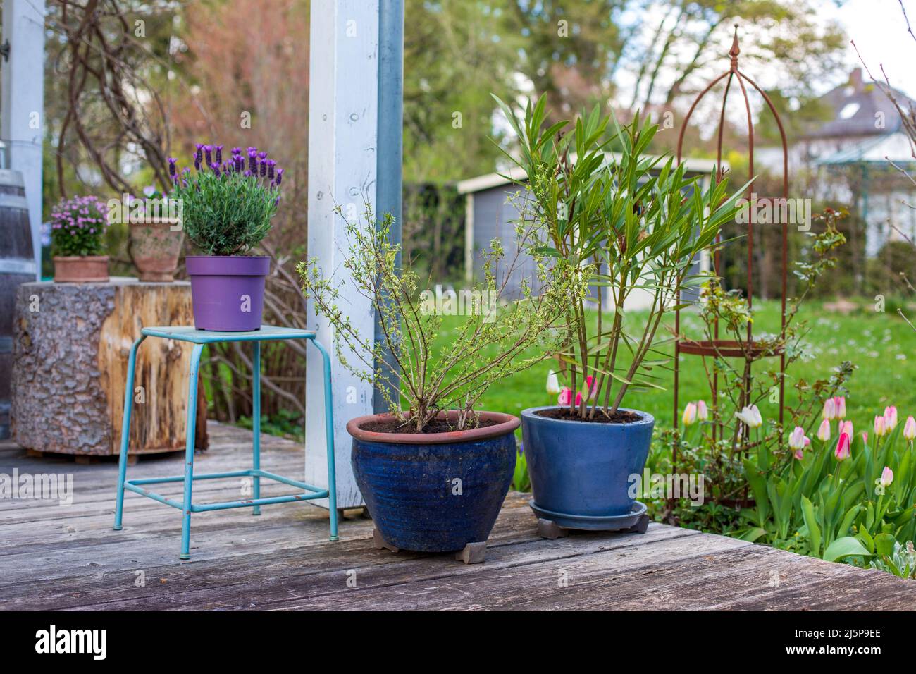 wooden terrace with flowers pots and garden Stock Photo - Alamy
