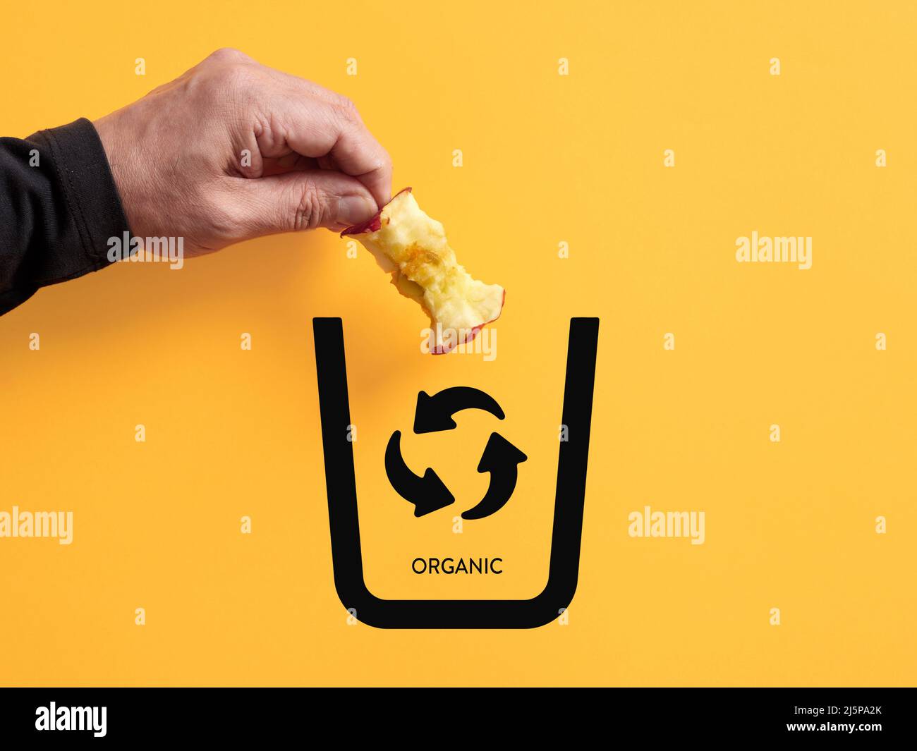 Hand placing ana apple core into a recycle bin with the word organic ...