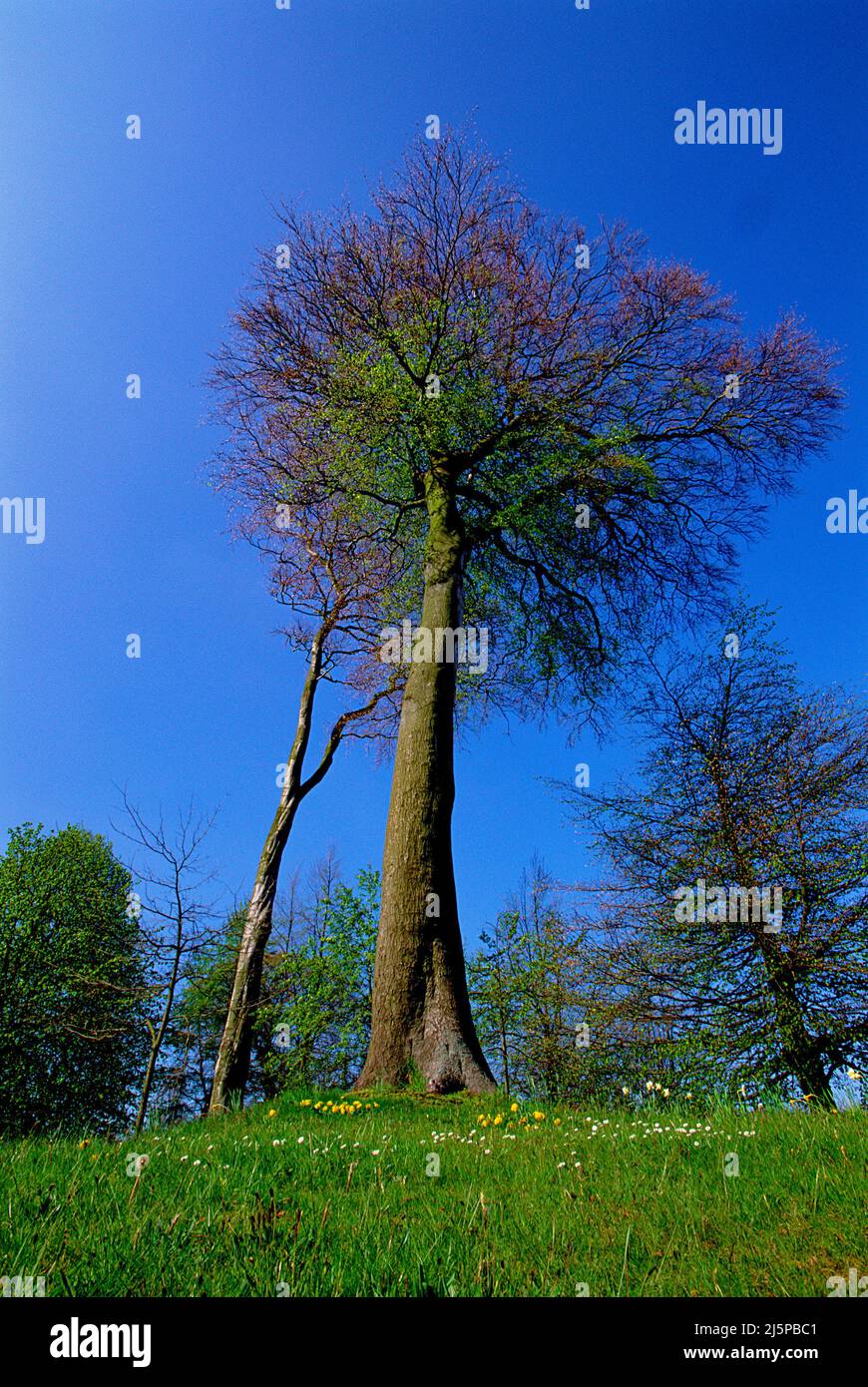 Malone roundabout hi-res stock photography and images - Alamy