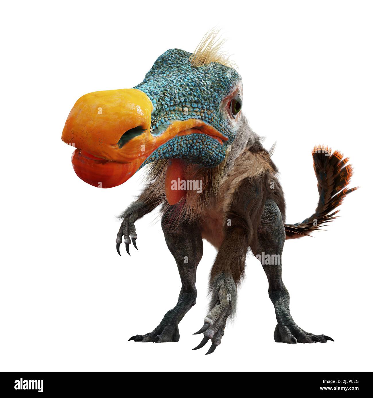 Dinosaur gallimimus hi-res stock photography and images - Alamy