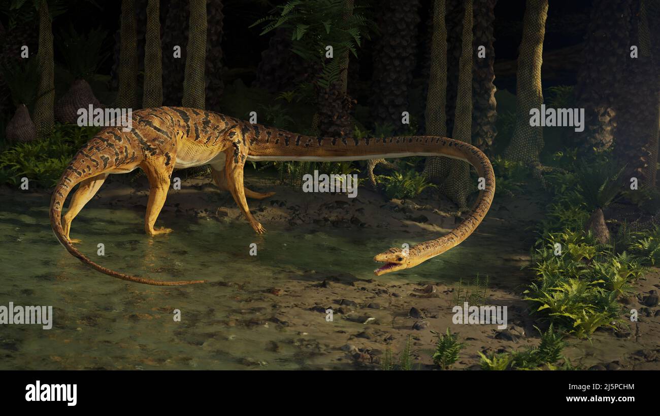 Tanystropheus, extinct reptile in a Triassic fern tree forest Stock ...
