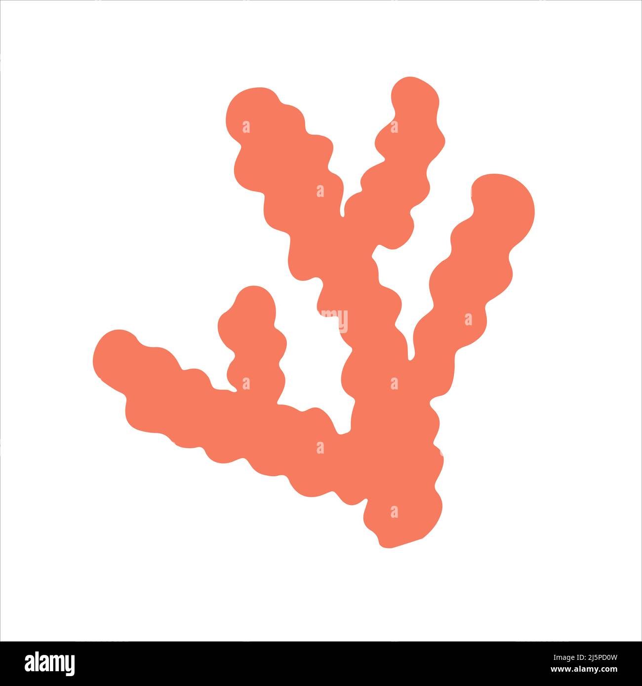 Vector hand drawn seaweed Stock Vector Images - Alamy