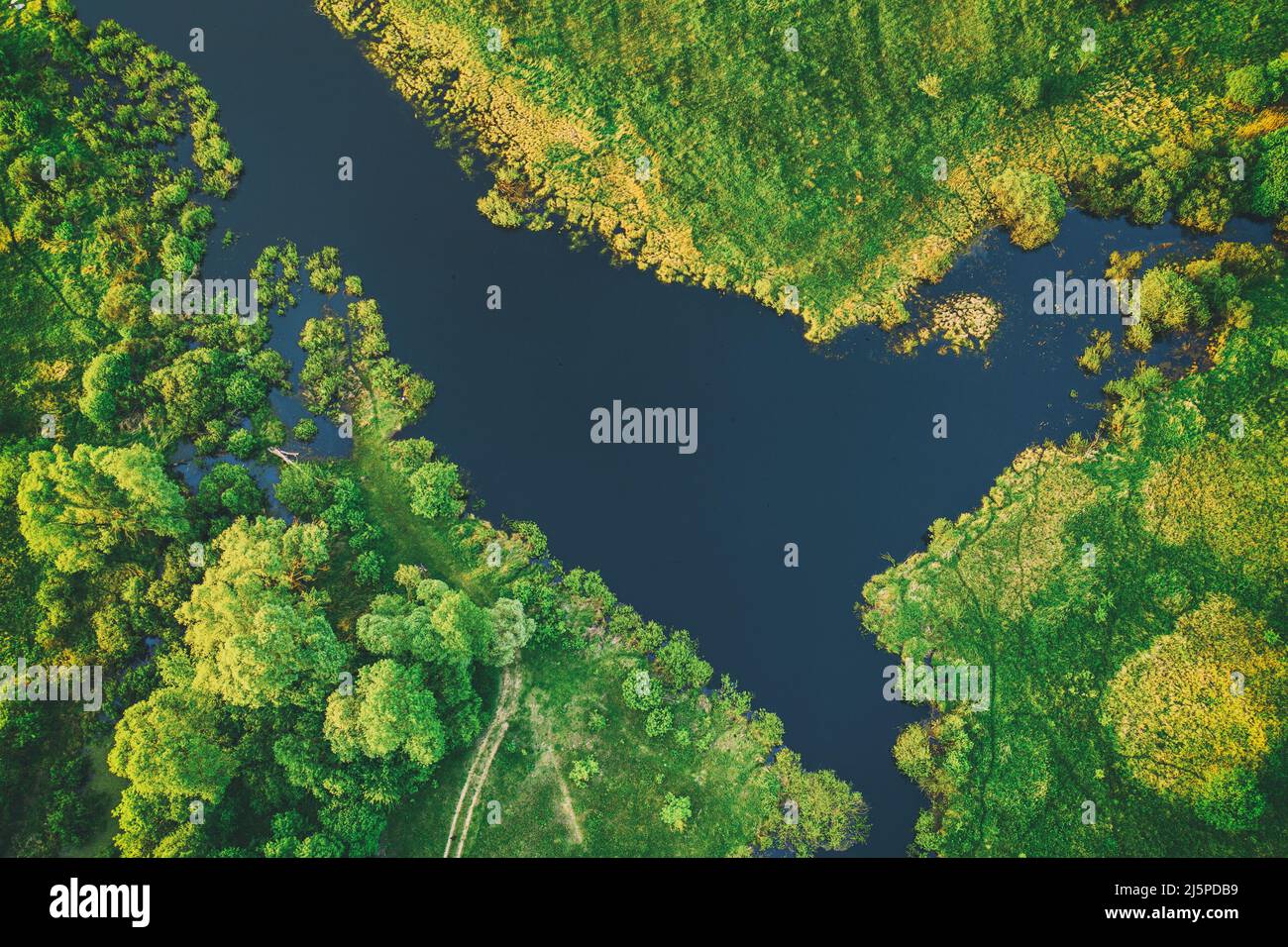 Lake in the meadows Stock Photo - Alamy