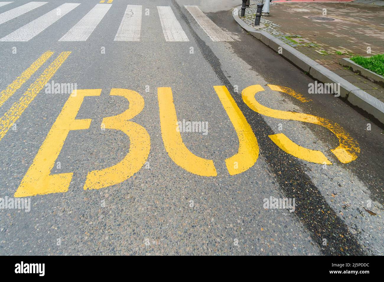 Word Bus is written in yellow on the asphalt in the background is a ...