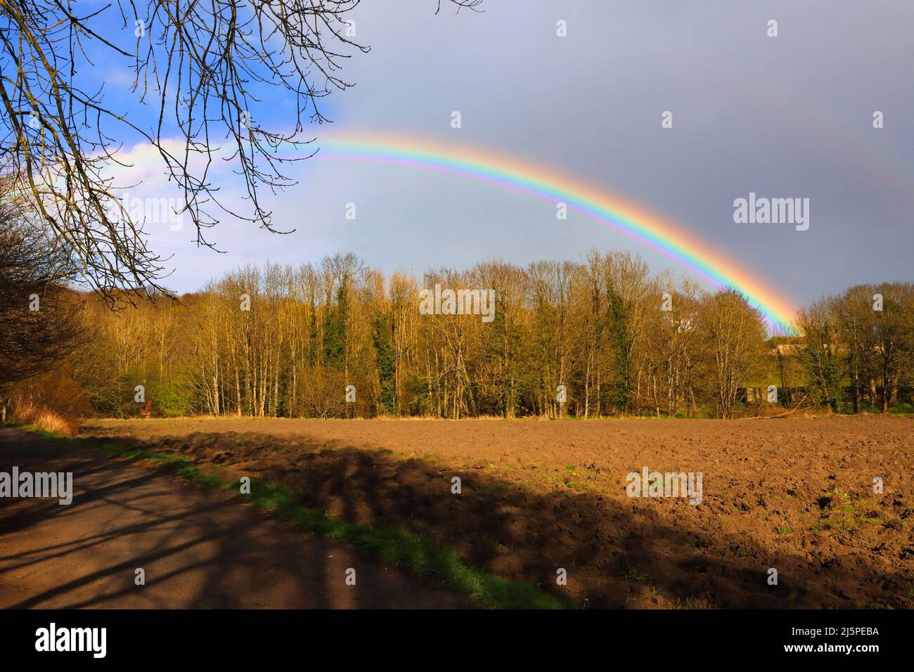 A Rainbow over some trees and a Field at Shincliffe near Durham City ...
