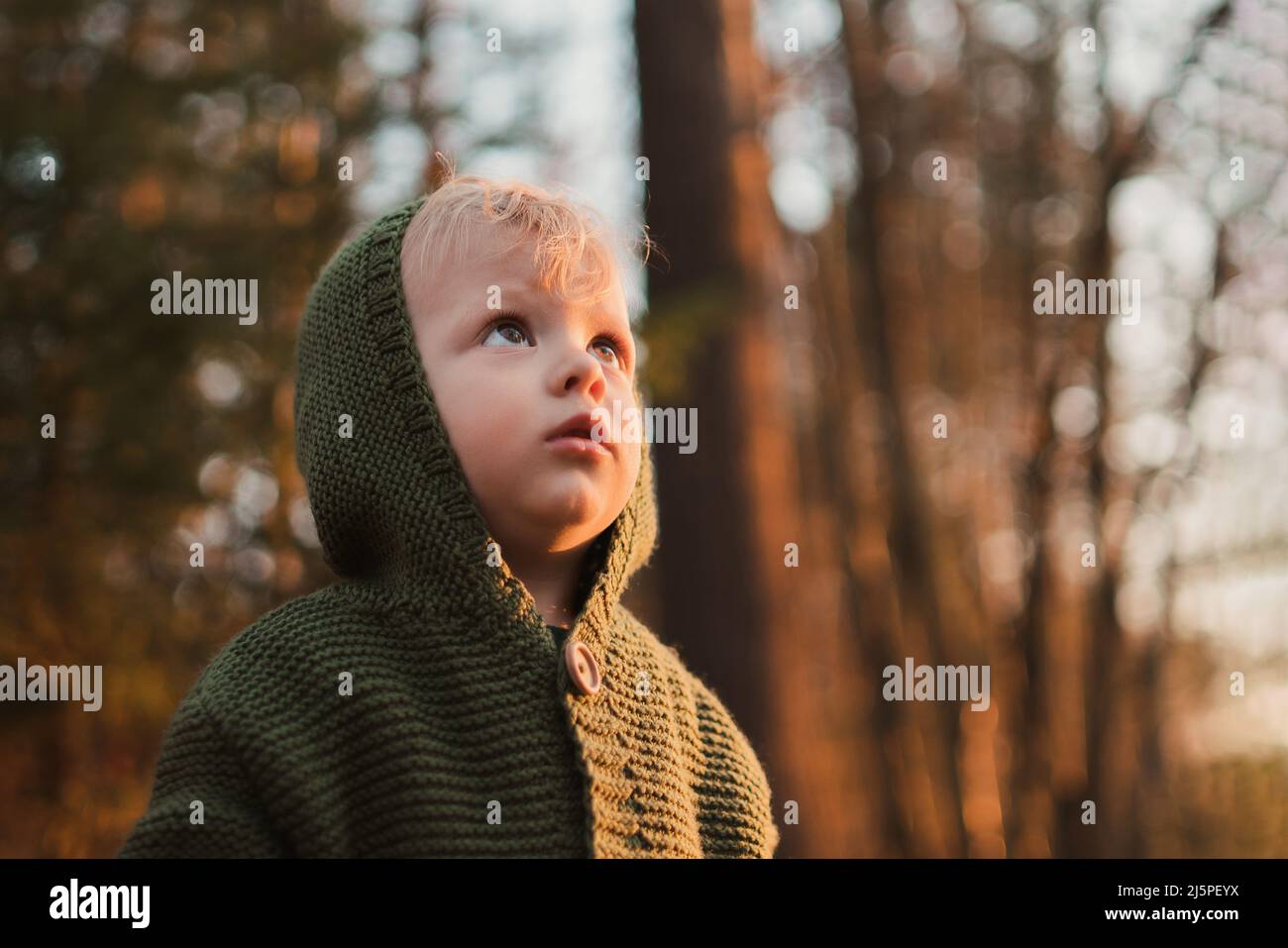 Little curious boy on walk in forest, looking up Stock Photo - Alamy
