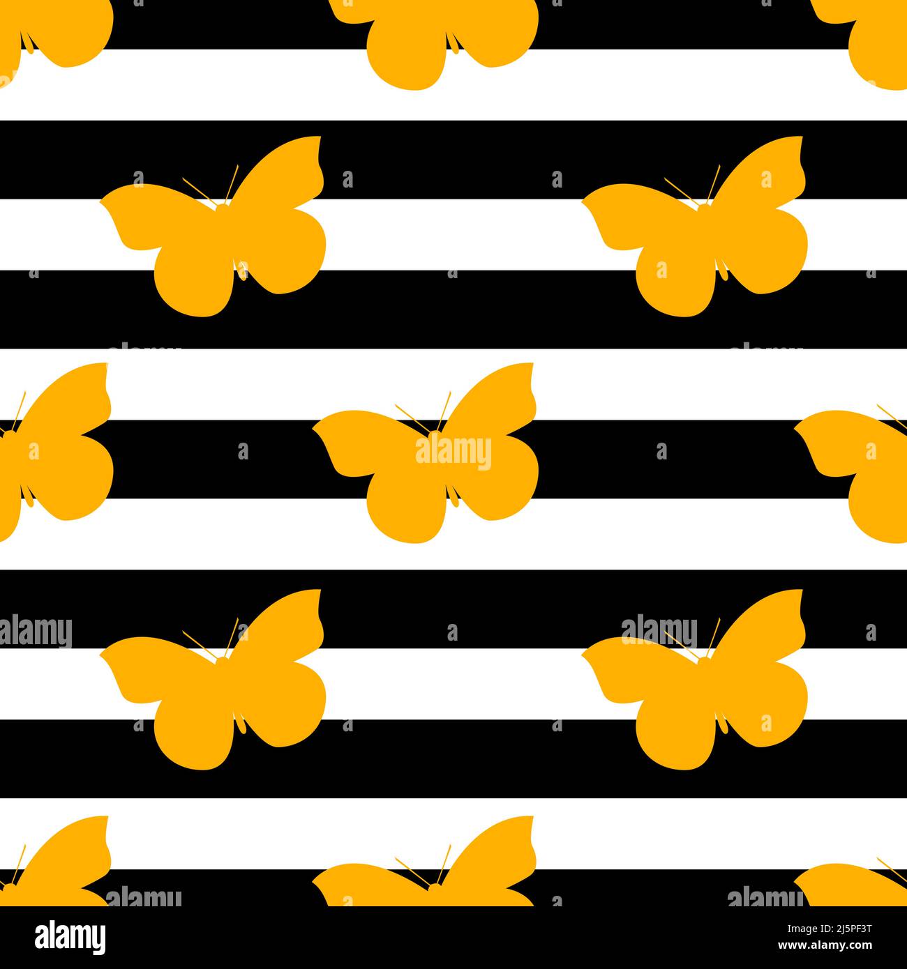 Beautiful yellow butterfly isolated on black and white stripes is in ...