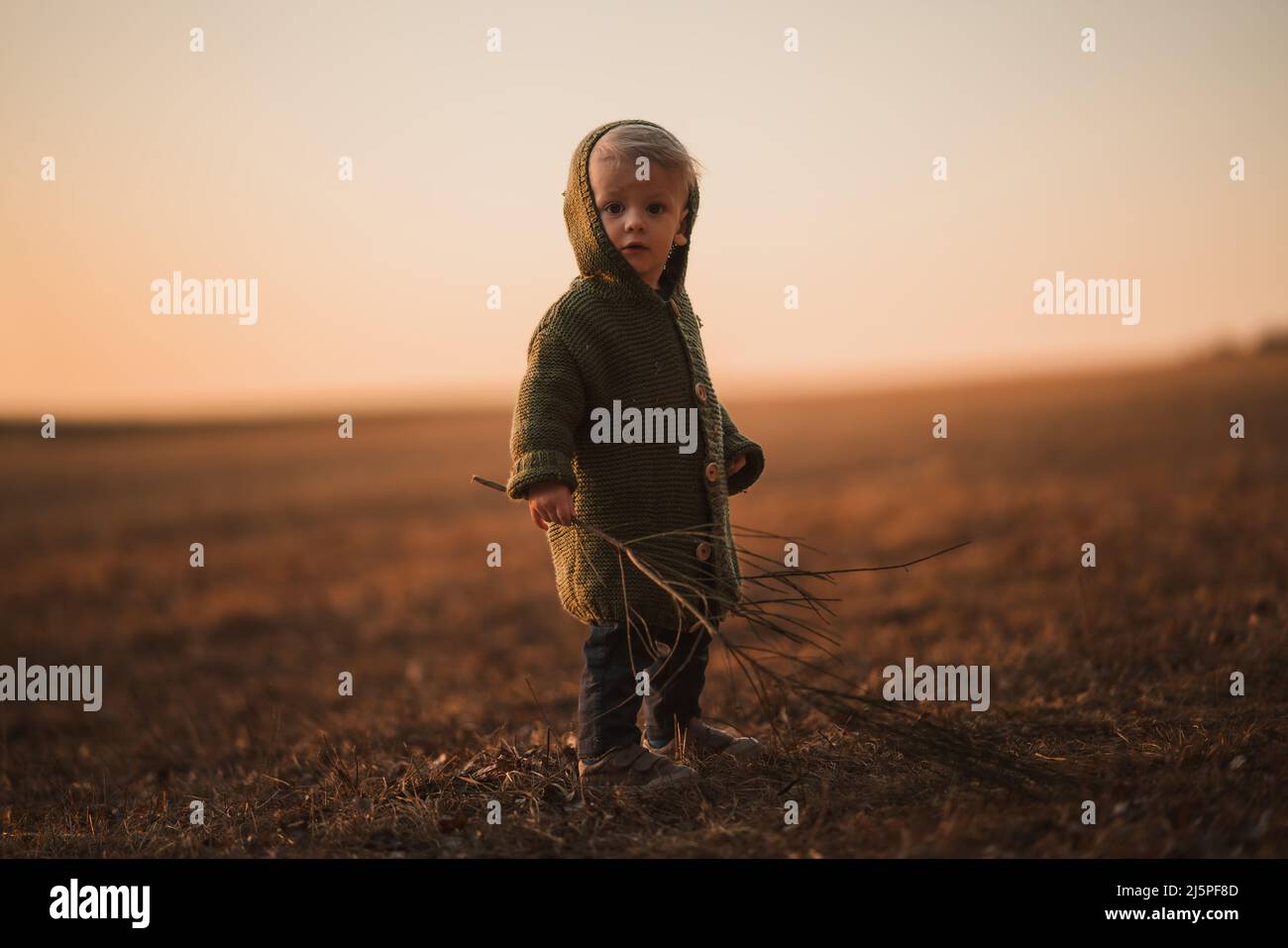 Little curious boy on walk in nature, looking at camera Stock Photo - Alamy