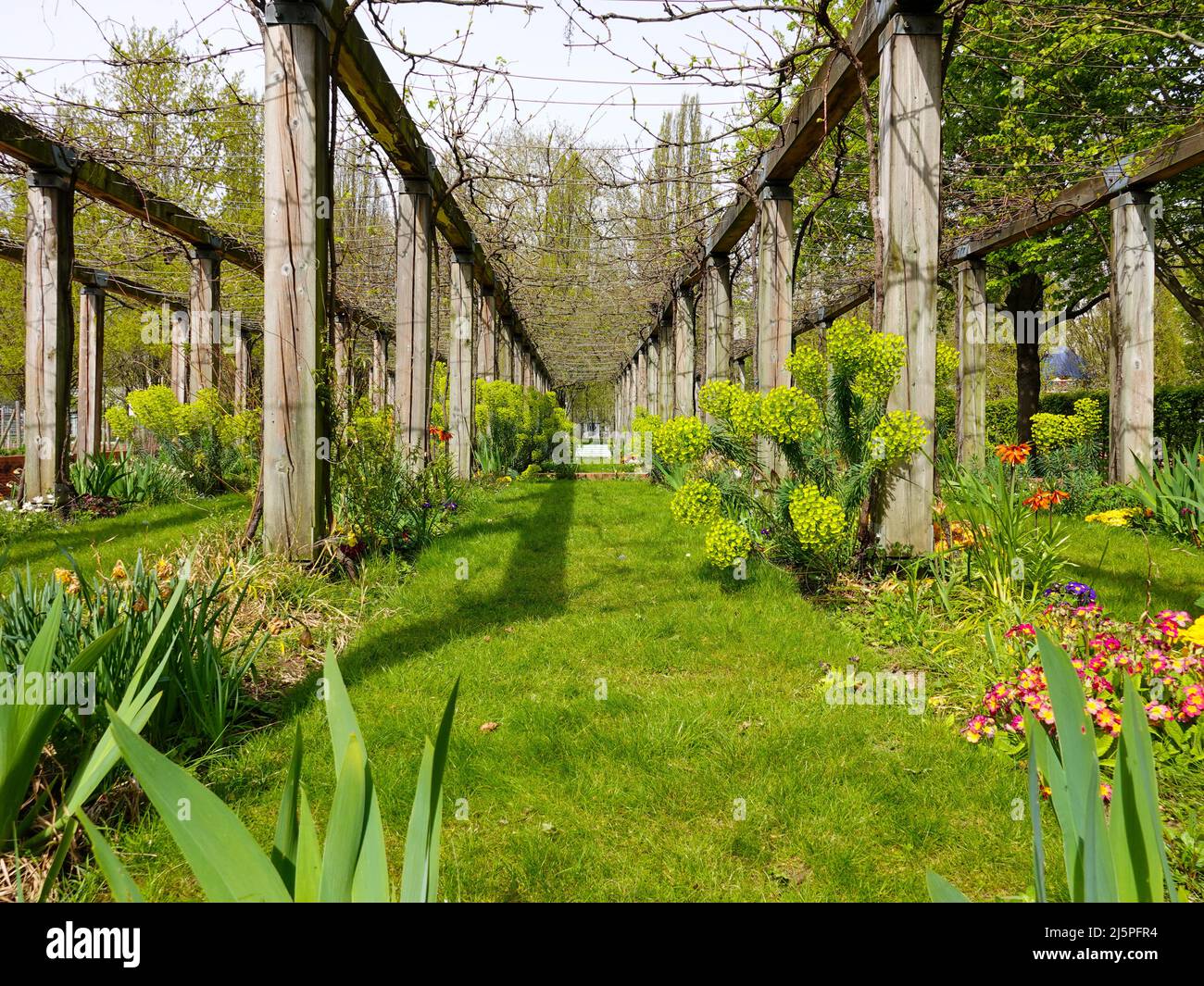 Parc de Bercy gardens in early spring, Paris, France Stock Photo - Alamy
