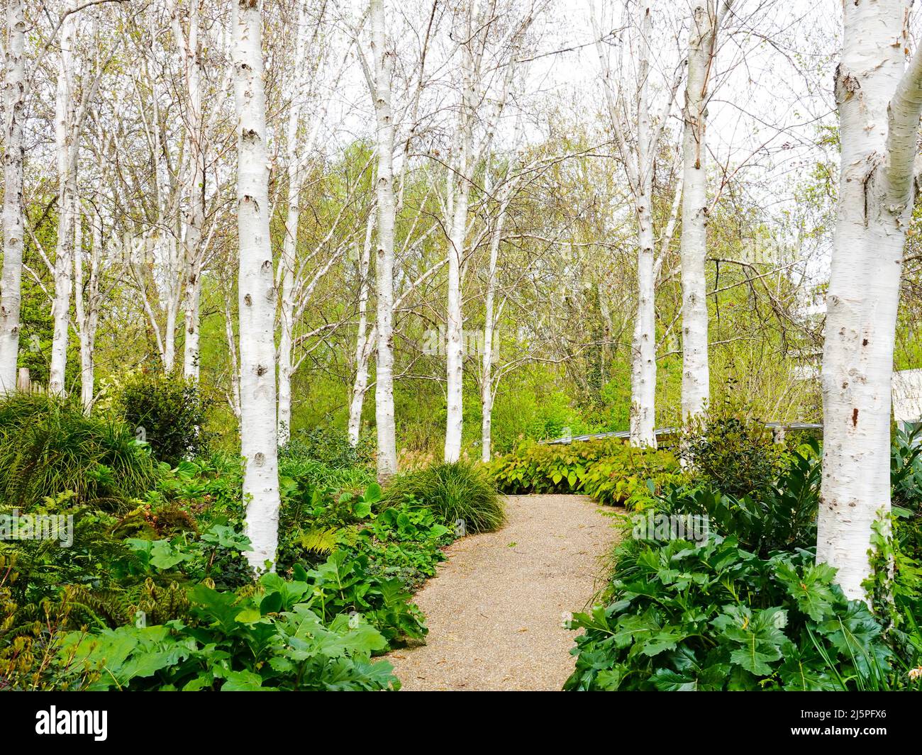 Parc de Bercy gardens in early spring, Paris, France Stock Photo - Alamy