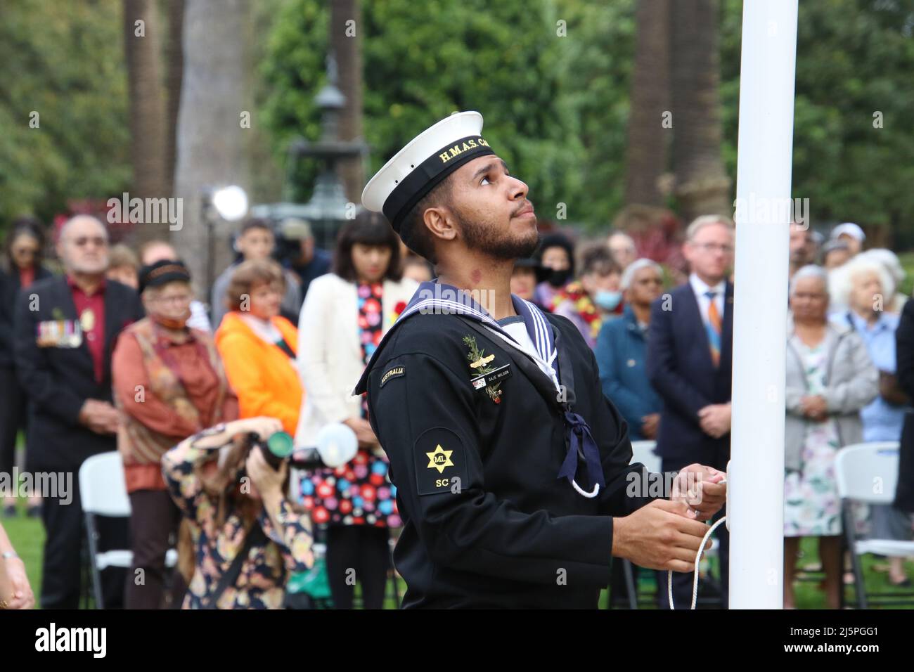 Saje wilson hi-res stock photography and images - Alamy