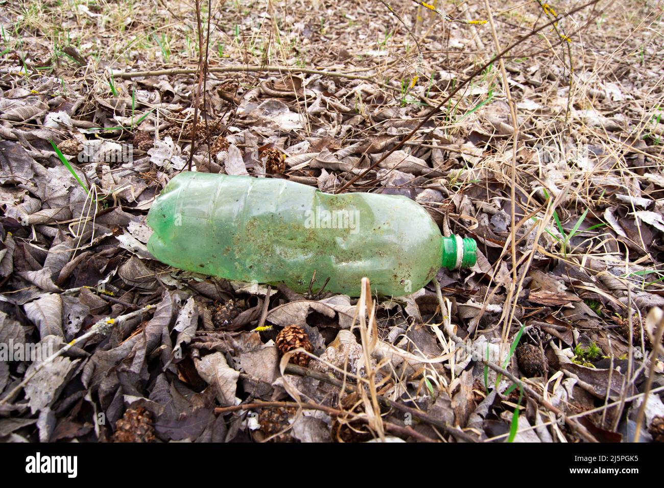 Dirty plastic bottle left in the forest. Plastic waste in the ...