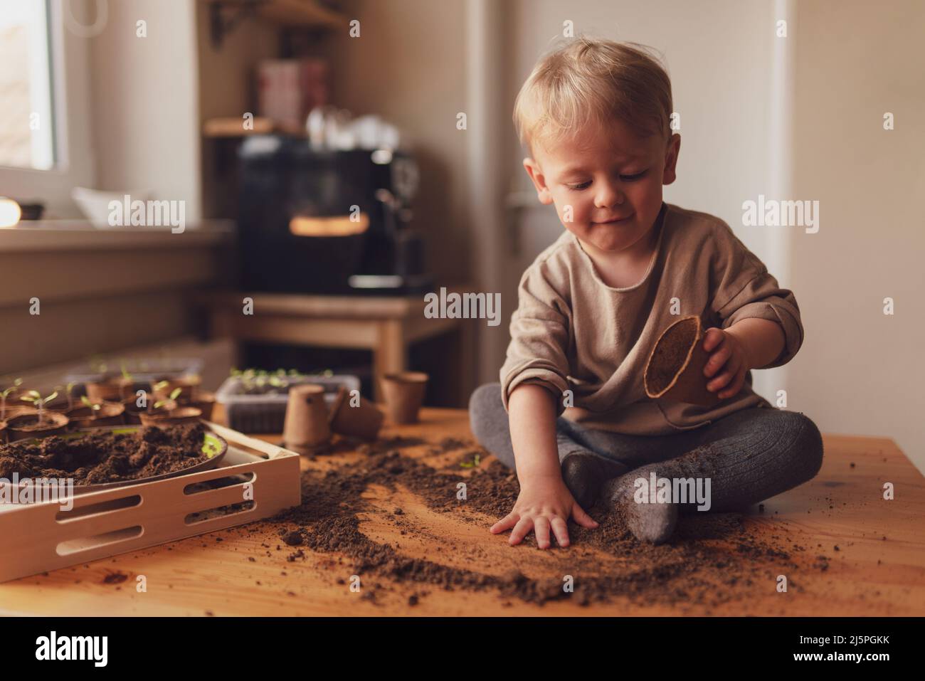 Mess and dirt on a table while little boy is playing with potted ...