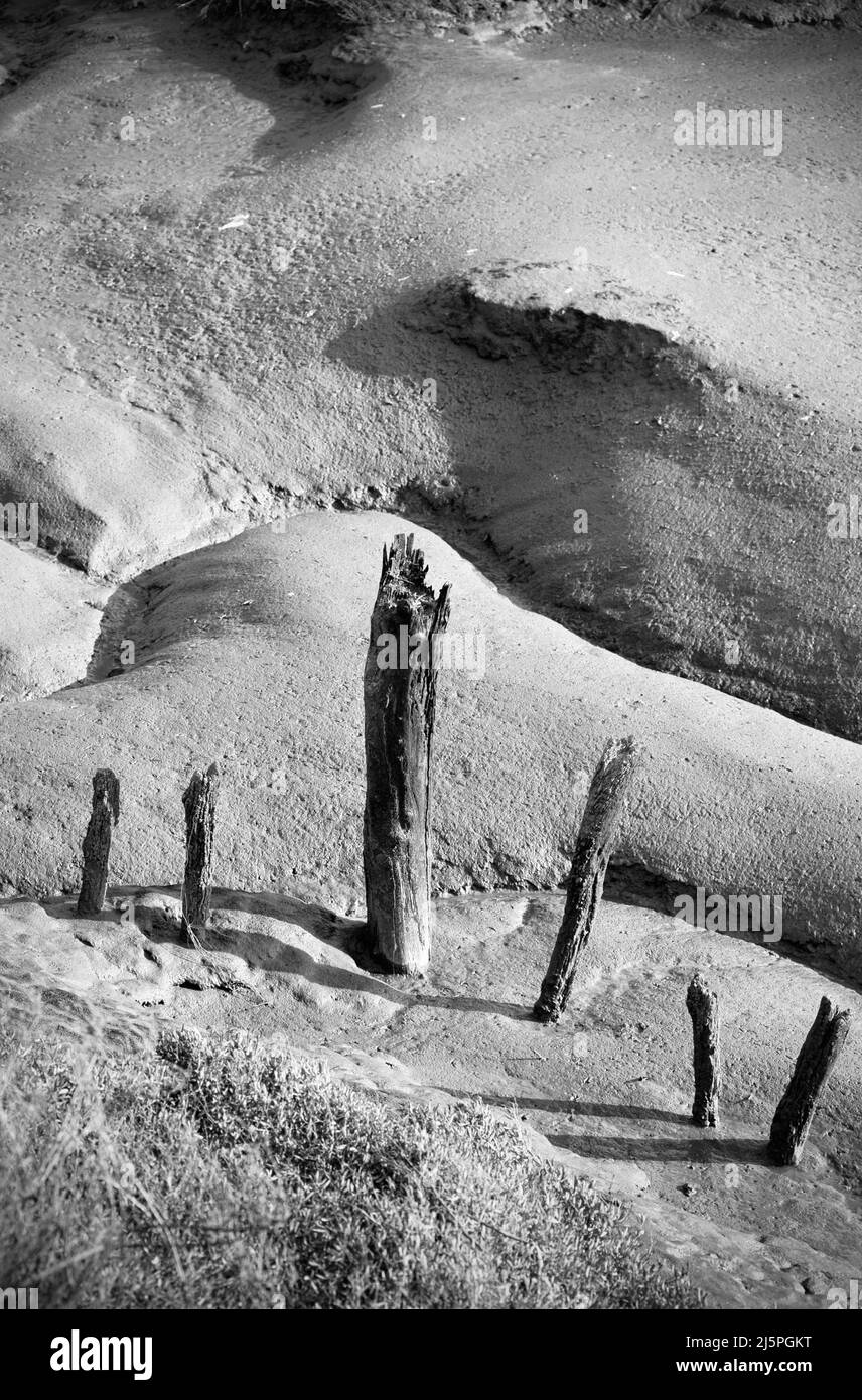 North eastern coast Black and White Stock Photos & Images - Alamy