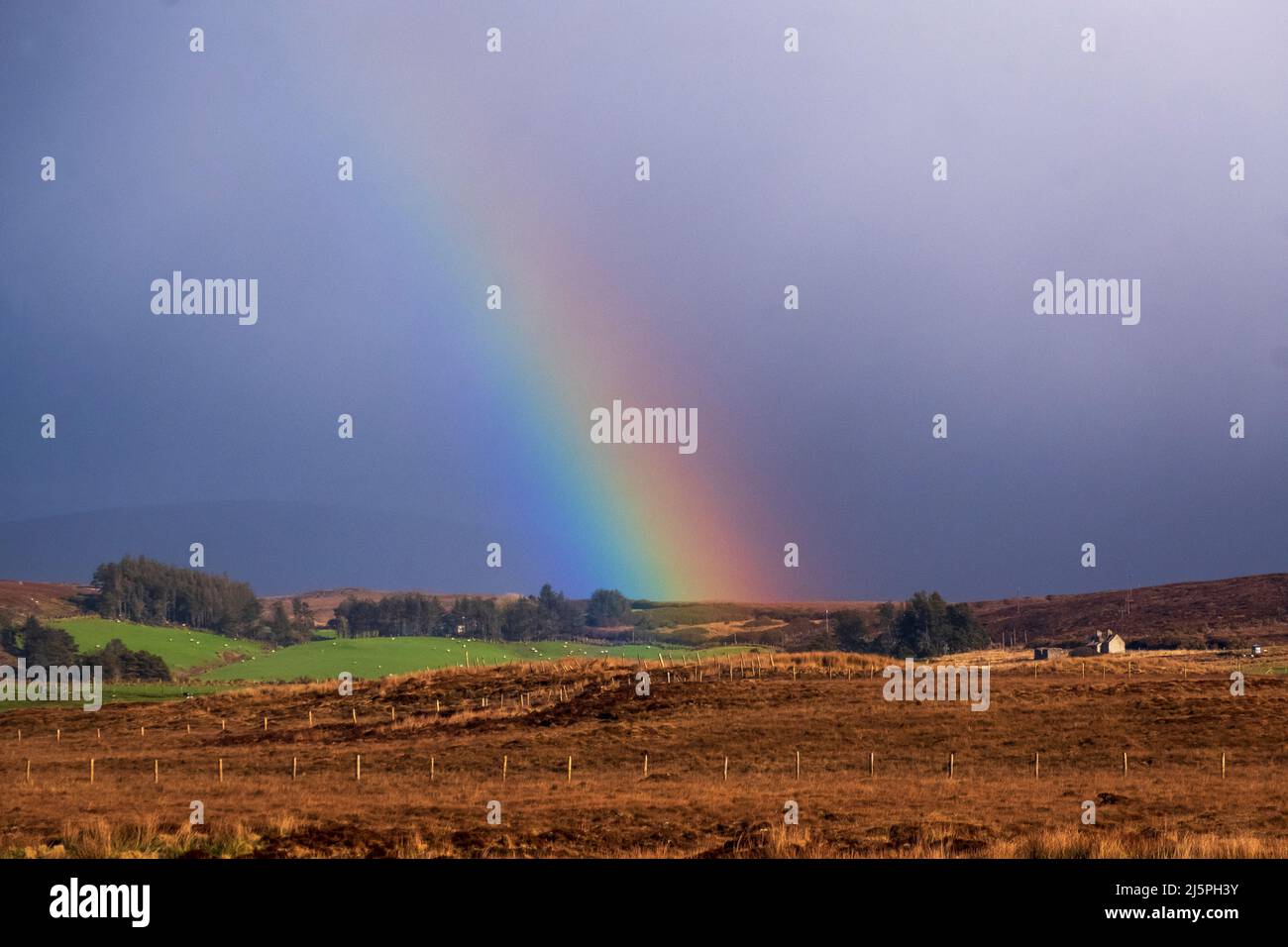 Spring shower ireland hi-res stock photography and images - Alamy