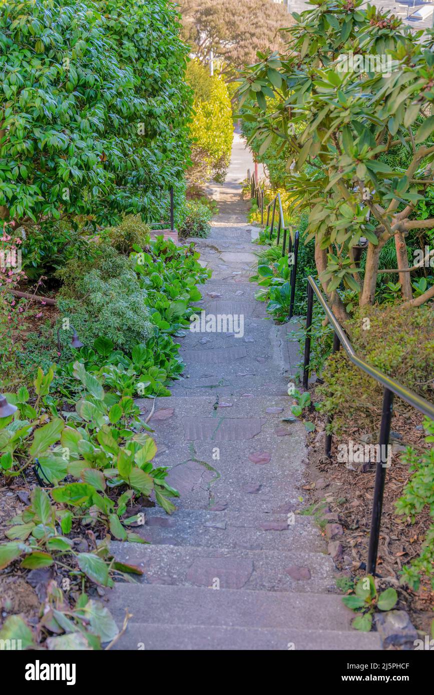 Straight narrow concrete staircase outdoors at San Francisco ...