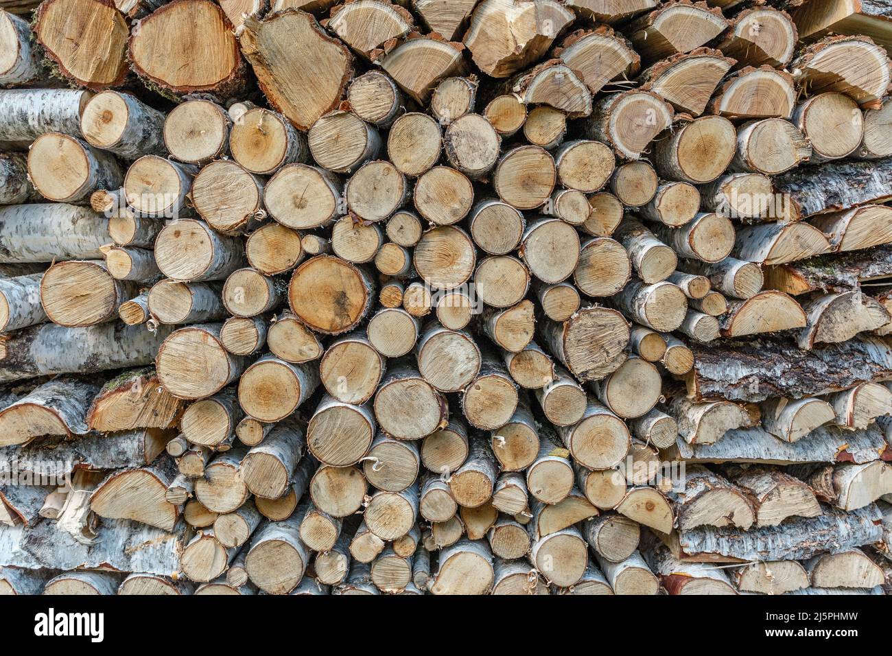 Wood stack, Pyrenees ariegeoises natural park, France Stock Photo - Alamy