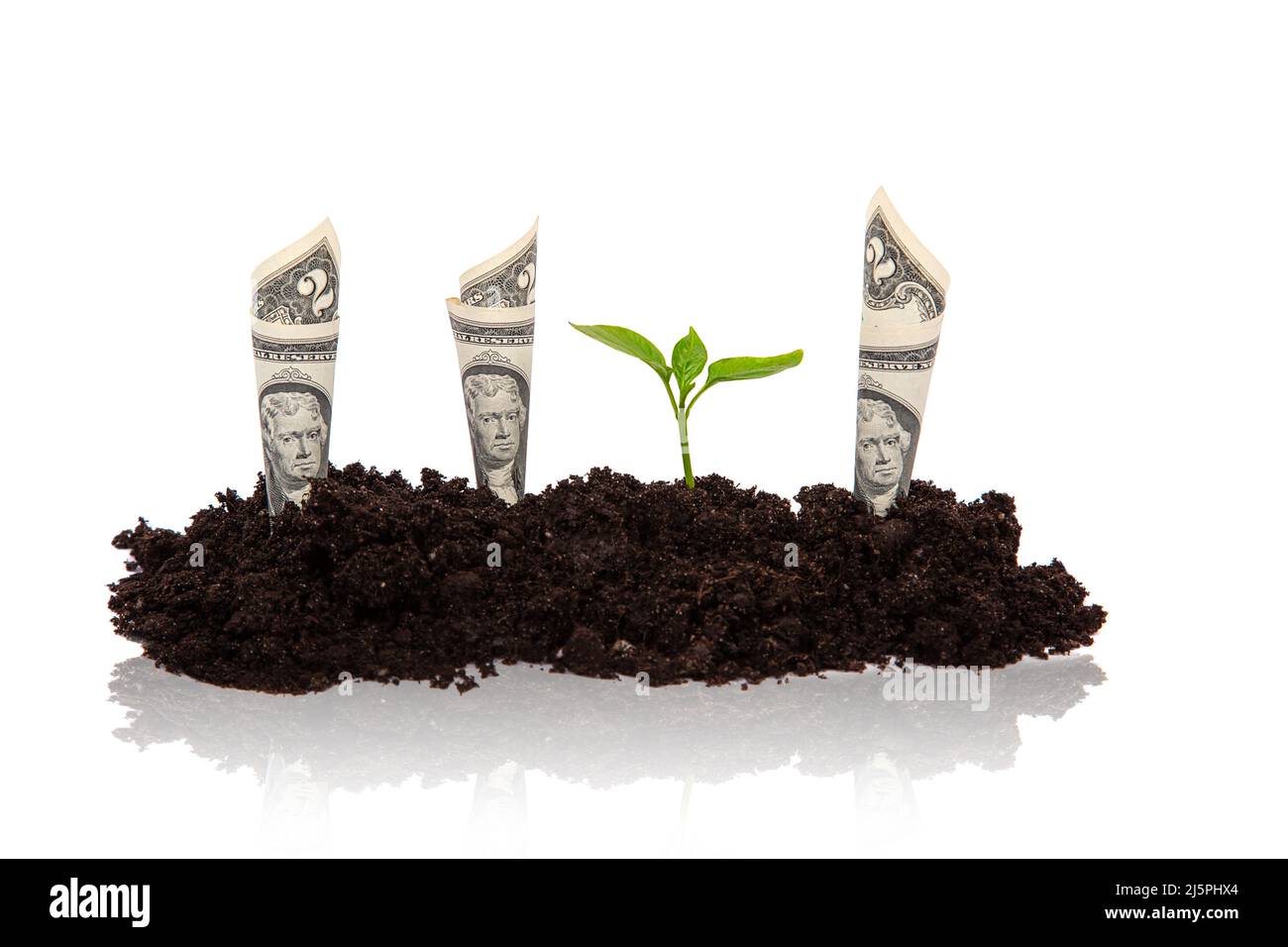 Growth growing greenery Cut Out Stock Images & Pictures - Alamy