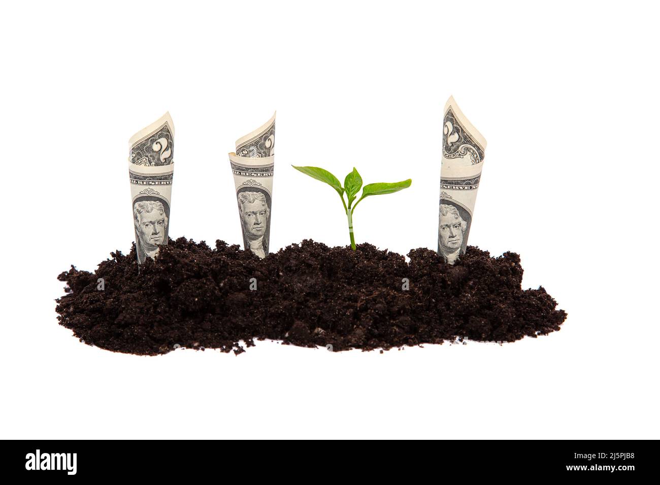 Money sprout hi-res stock photography and images - Alamy