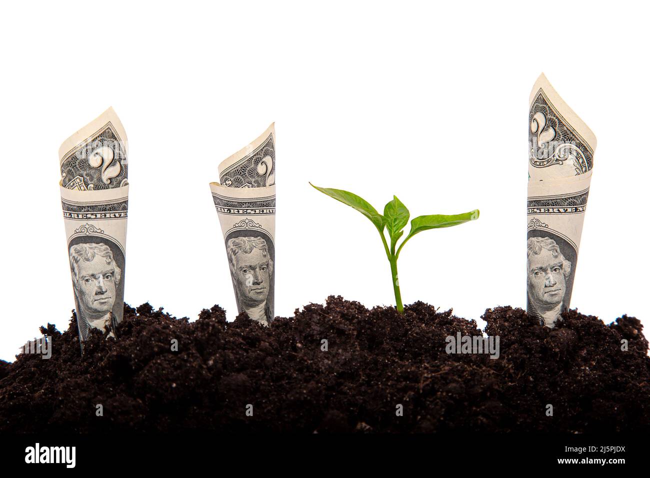 The concept of financial growth. Money growing out of the ground ...