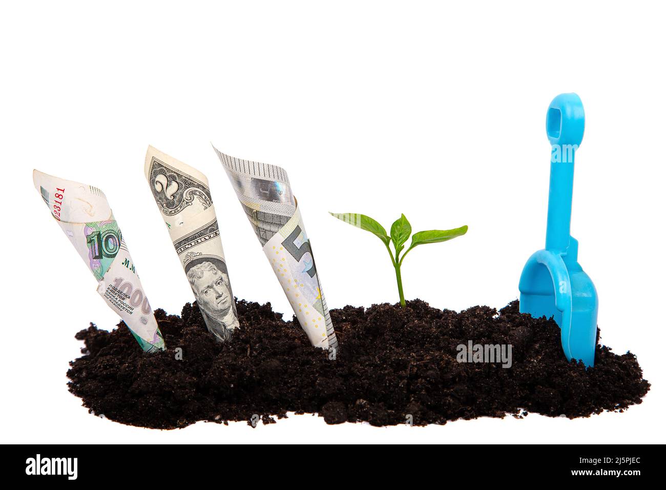 The concept of financial growth. Money growing out of the ground ...
