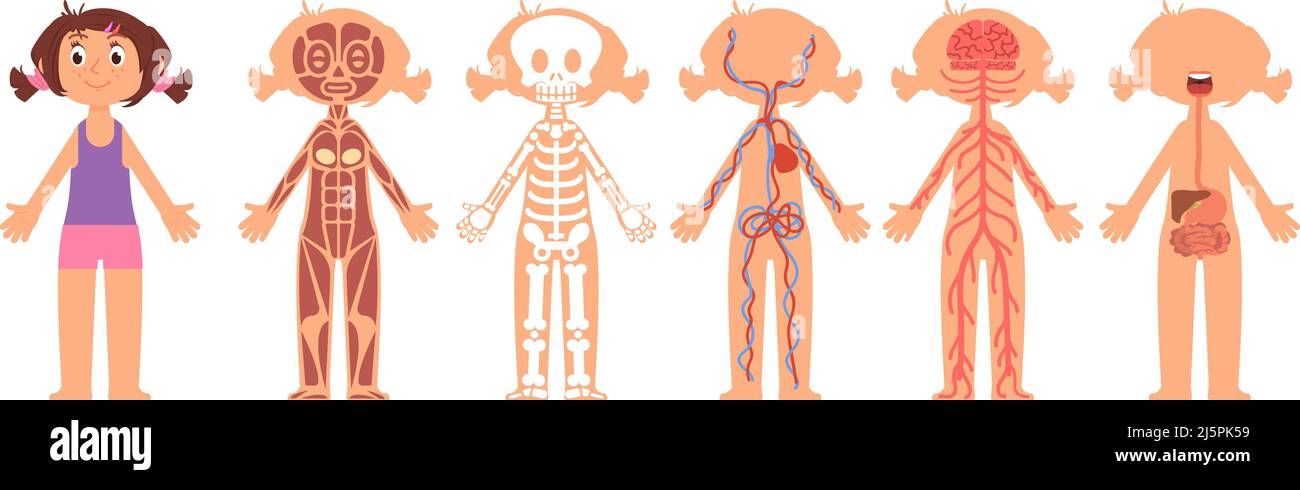 Biology Cartoons For Kids