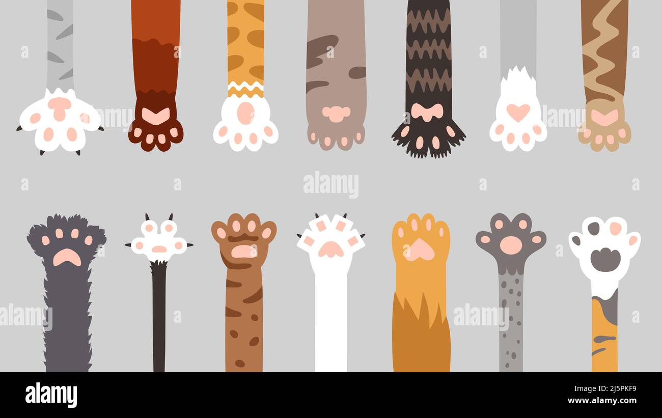 Cat foots. Flat cats paws, animals footprint background. Tiger leg with ...