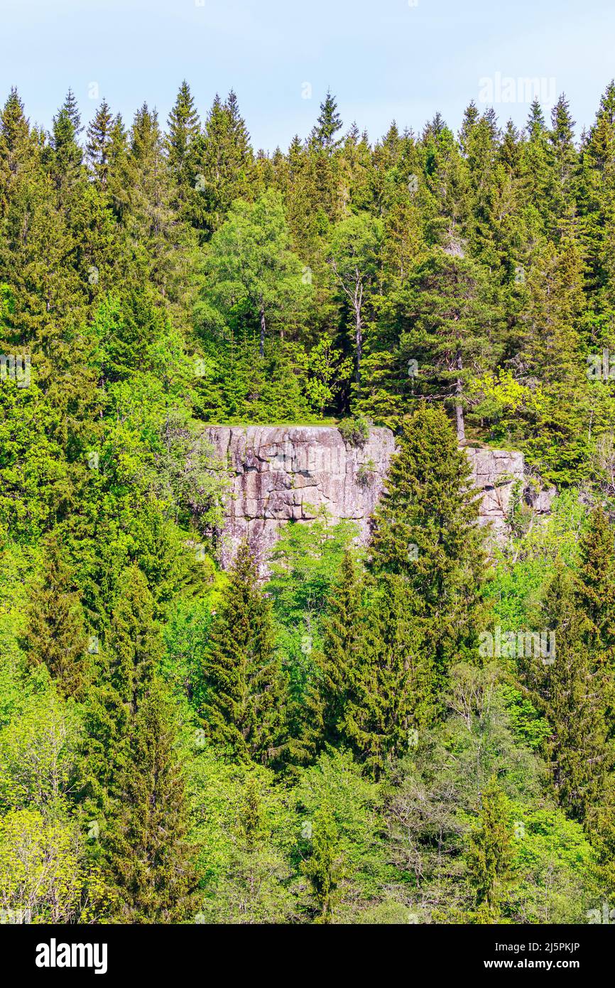 Rock Face in the forest Stock Photo - Alamy