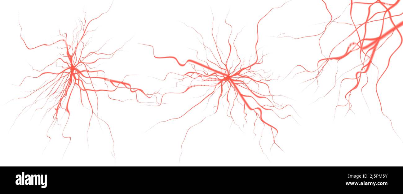 3d realistic vector icon set. Human blood system, blood elements veins ...