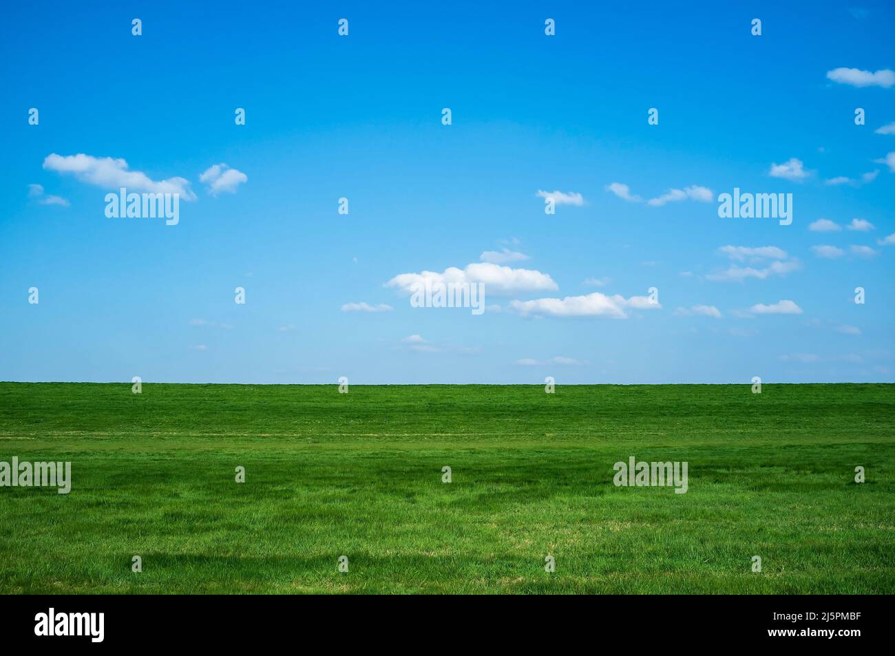 Wonderful Rural Landscapefield With Green Fresh Grass Against A Blue Sky And White Clouds On A