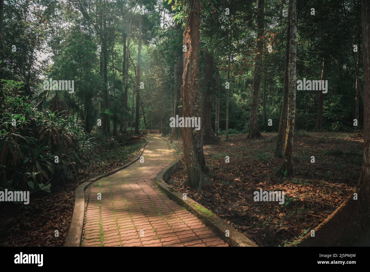 Walk way boardwalk path nature hi-res stock photography and images - Alamy