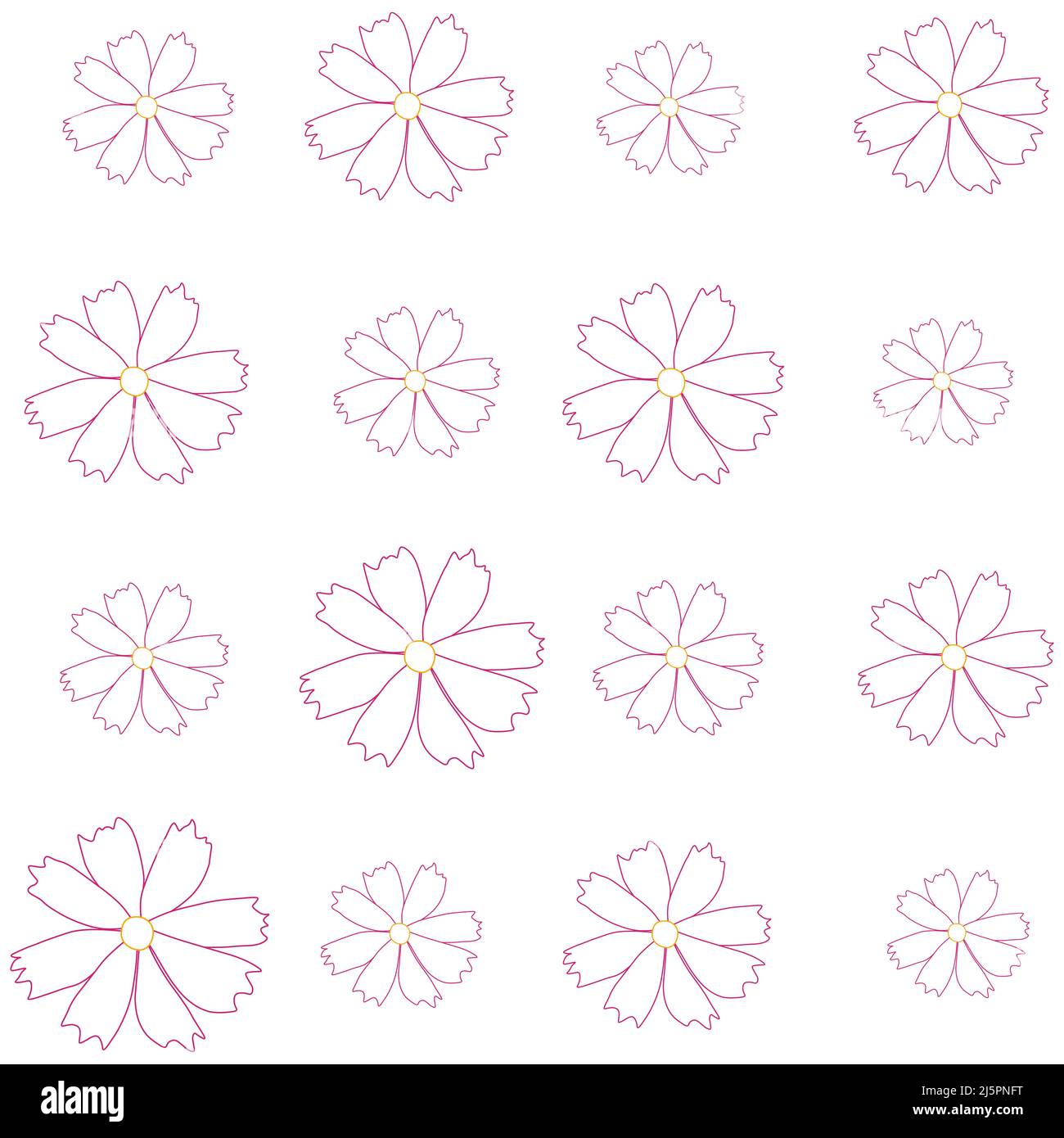 Seamless pattern with cosmos flower vector simple illustration isolated ...