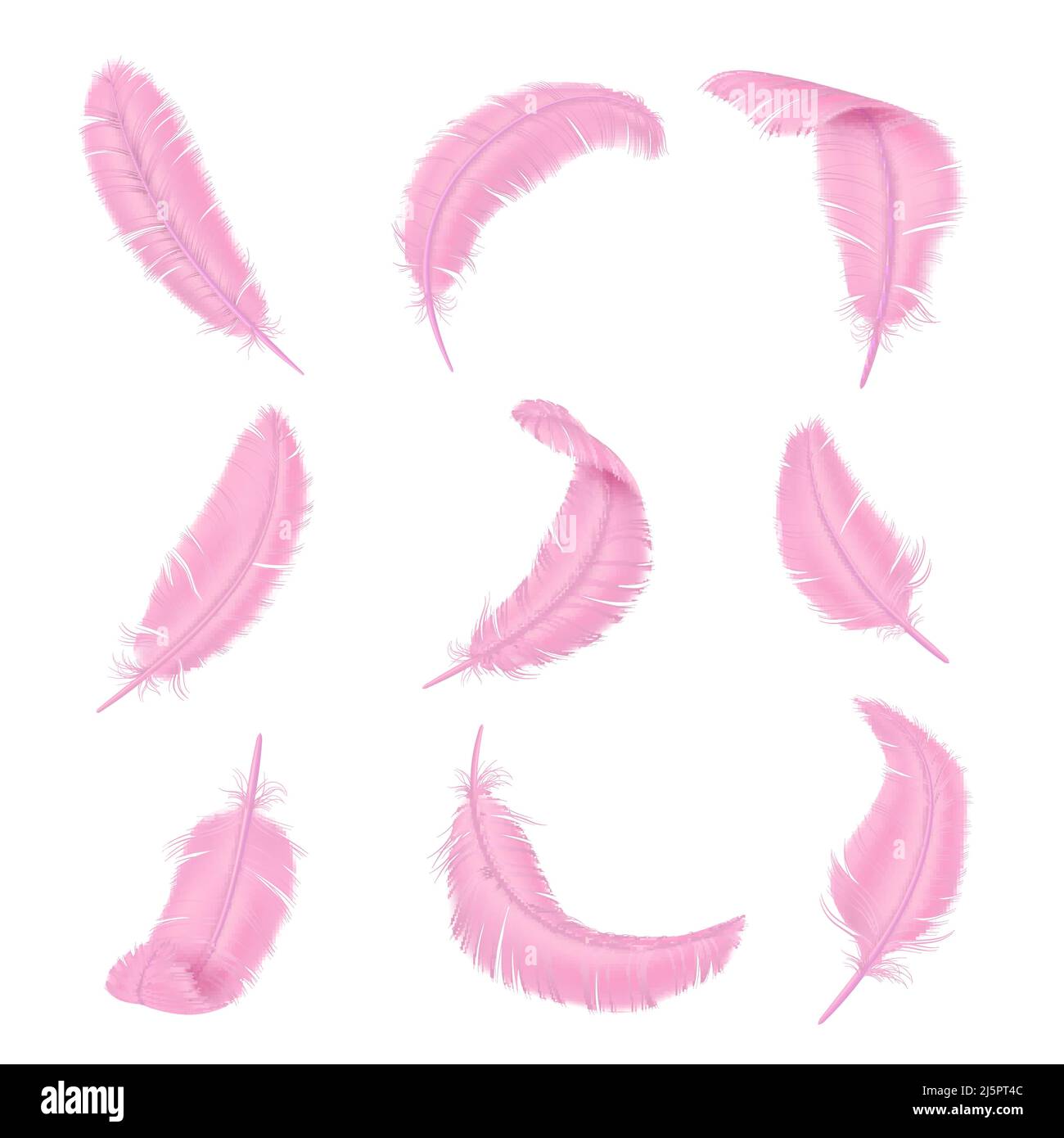 Pink feather boa Stock Vector Images - Alamy