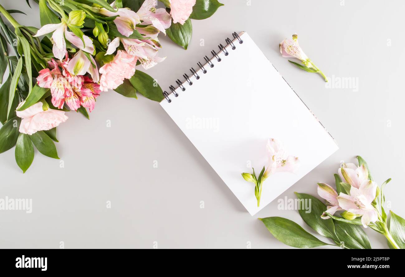 a blank notebook with white sheets on a black spring on a pastel ...