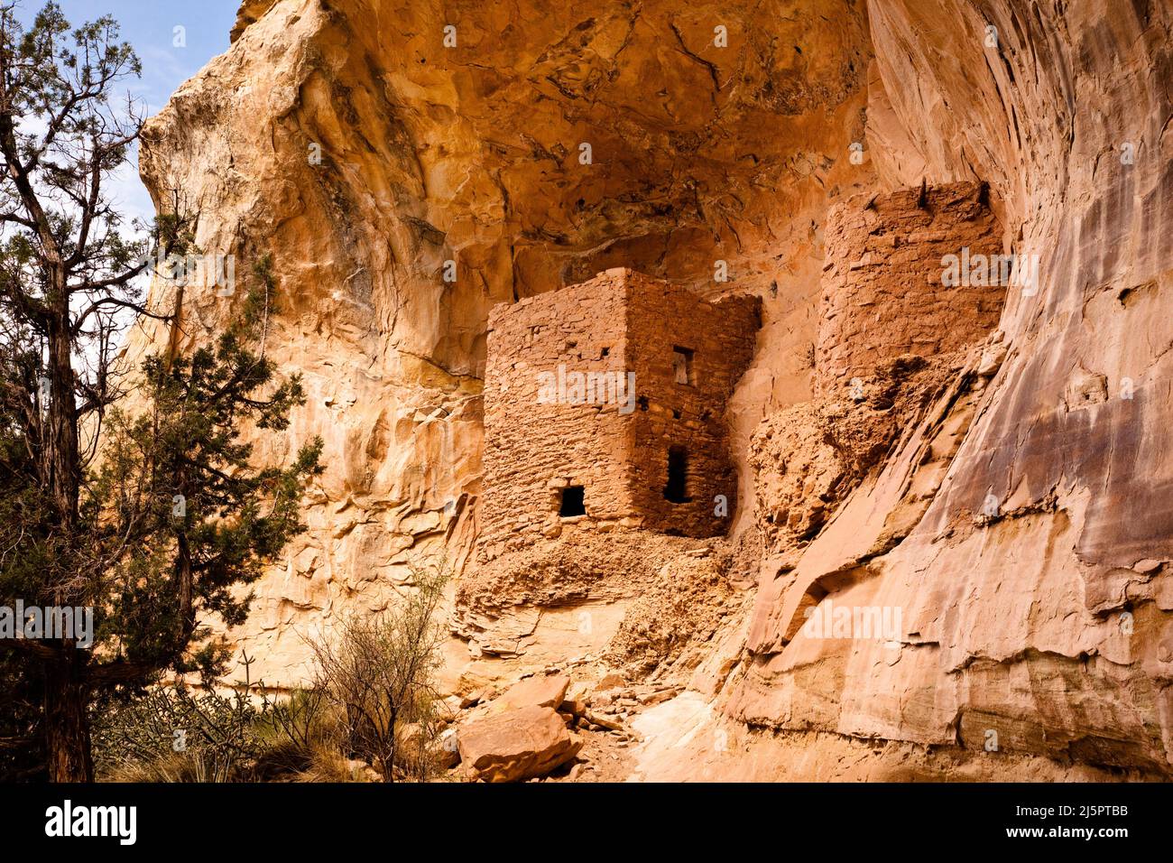 The Tower Houser Ruin cliff dwelling in the Shash Jaa Unit of the Bears ...