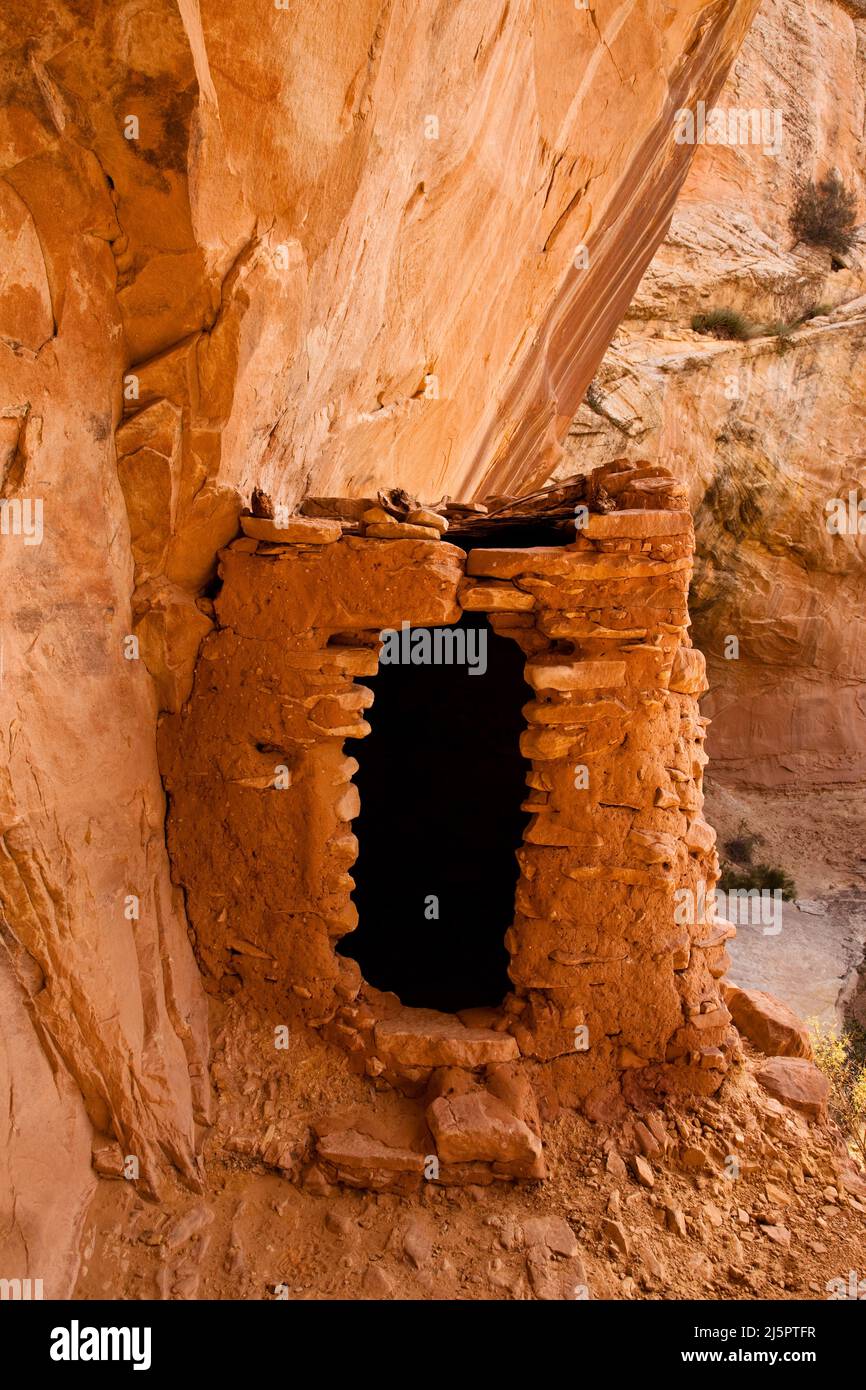 The Tower Houser Ruin cliff dwelling in the Shash Jaa Unit of the Bears ...