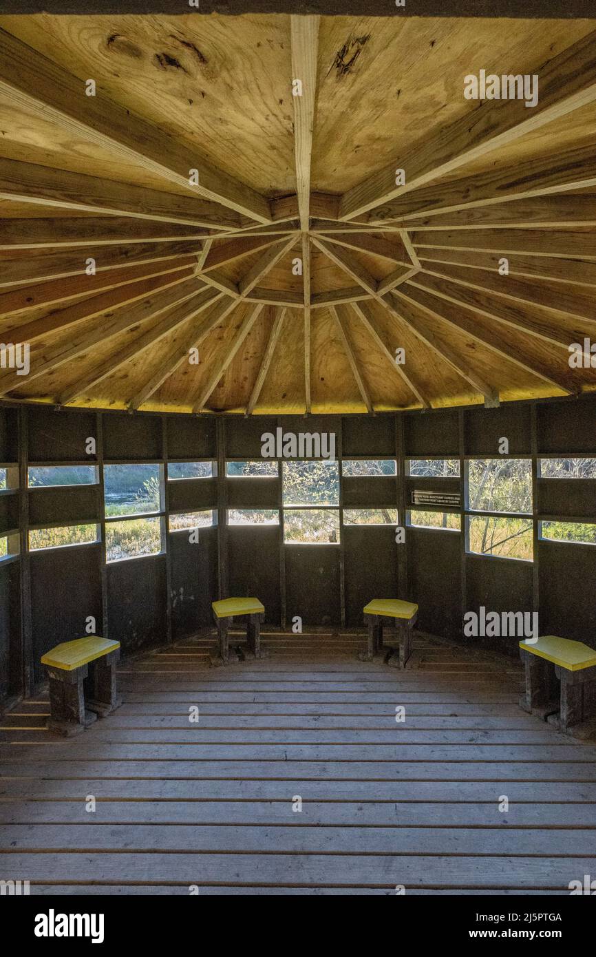 Wooden observation platform structure hi-res stock photography and ...