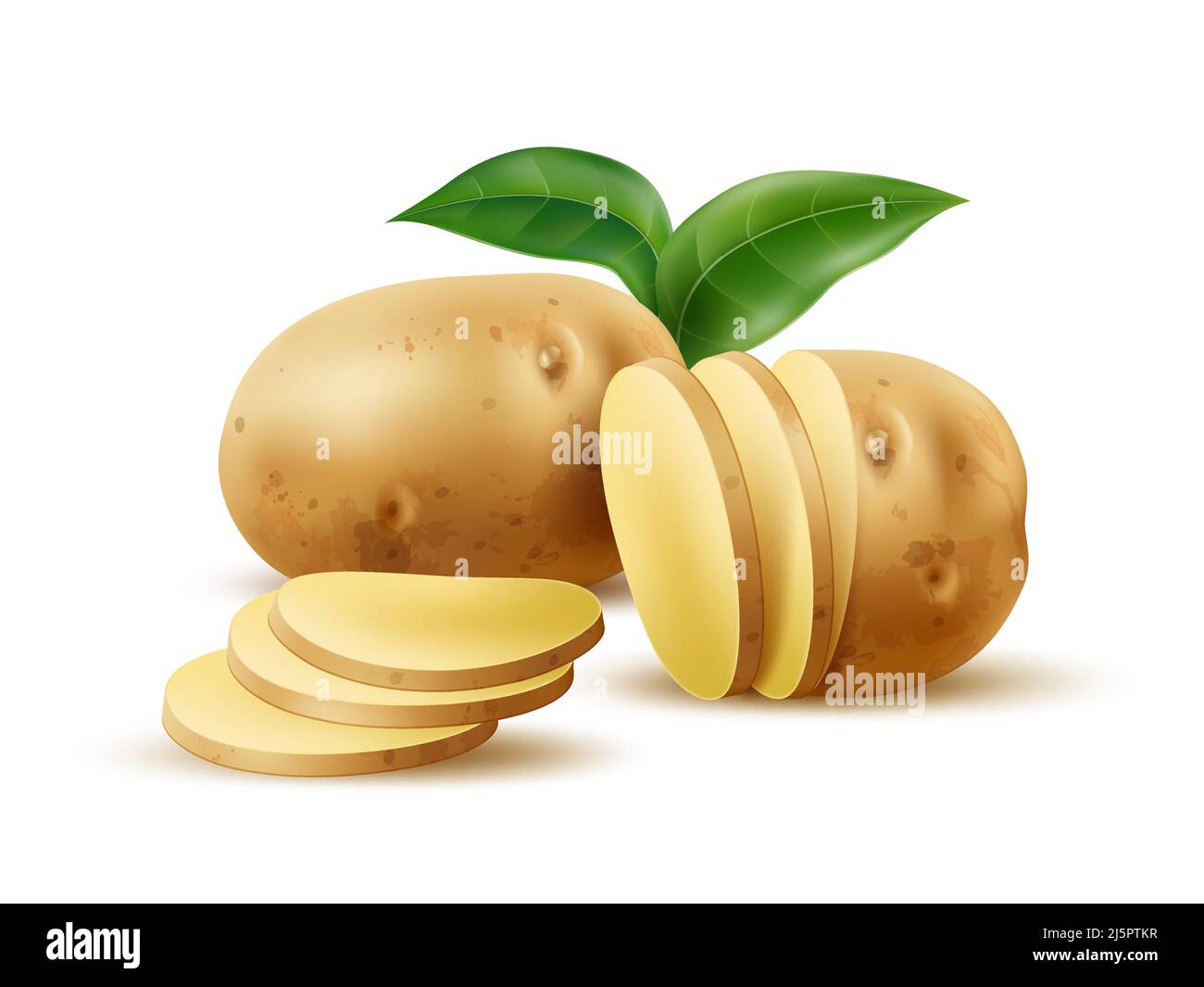 Realistic potato with green leaf. Raw whole and sliced vegetable ...